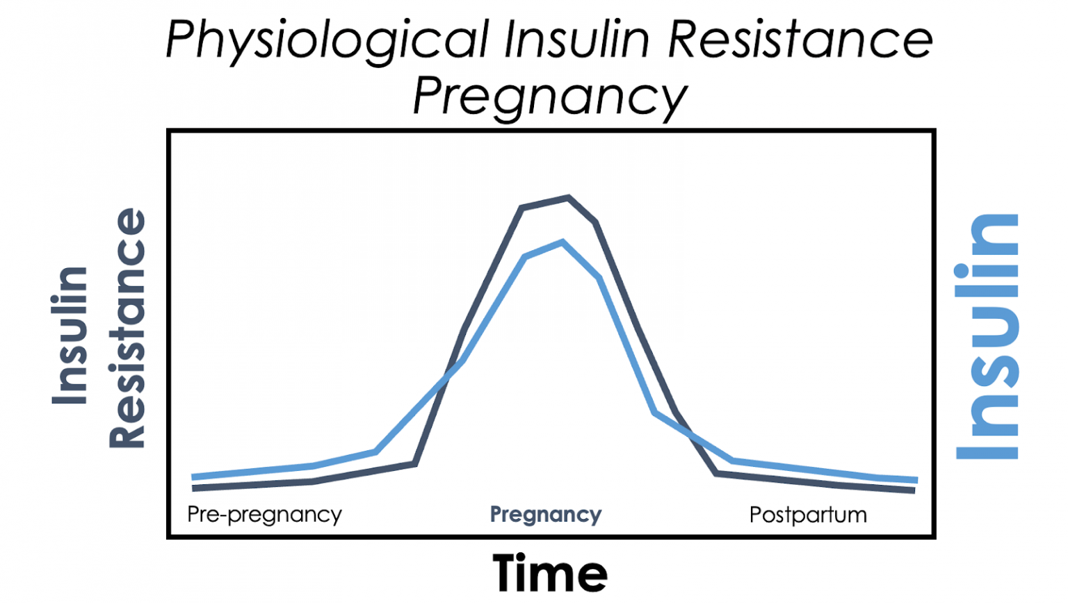 The Two Types of Insulin Resistance